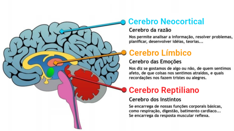 OS 5 MÉTODOS DA TRG - Regina Lafer